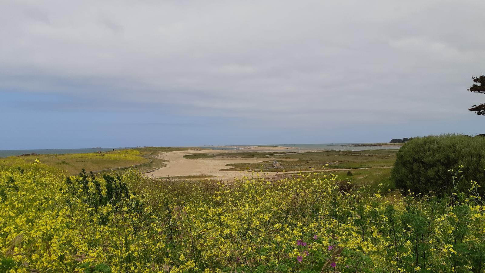 Le sillon de Talbert